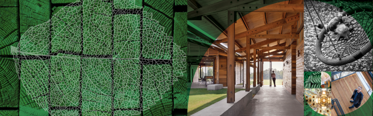 Biophilic Design Basics - Living Future
