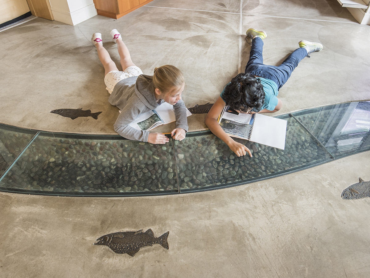 Bertschi School - Living Future