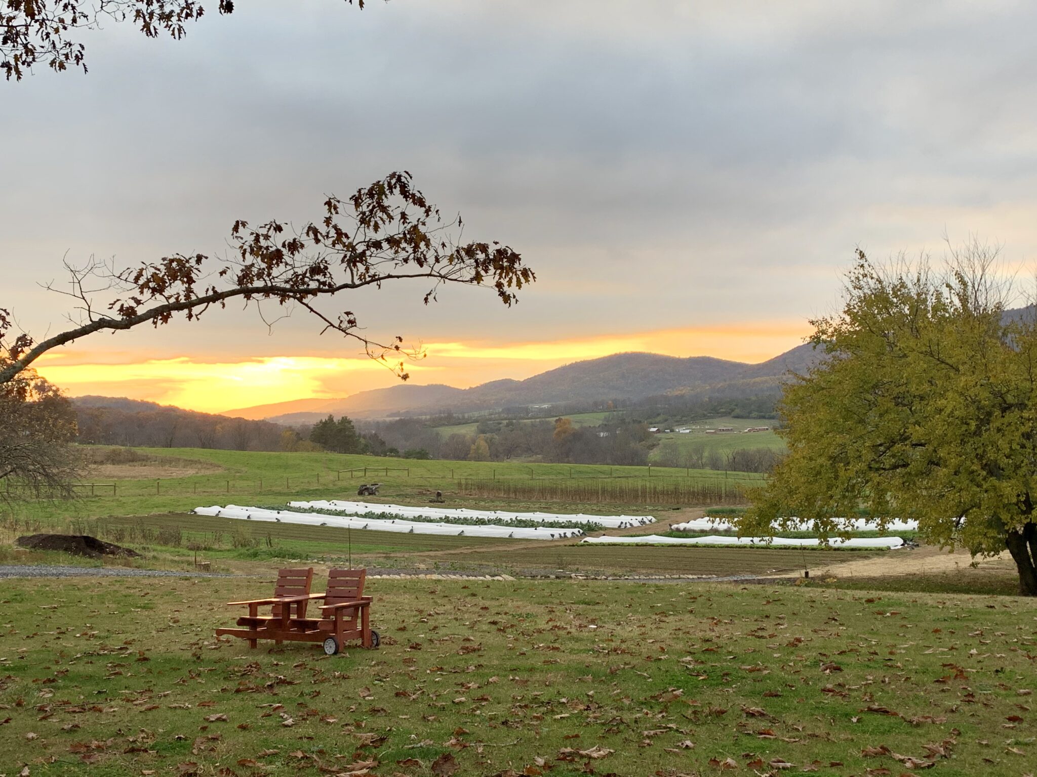 RE Farm Café - Living Future